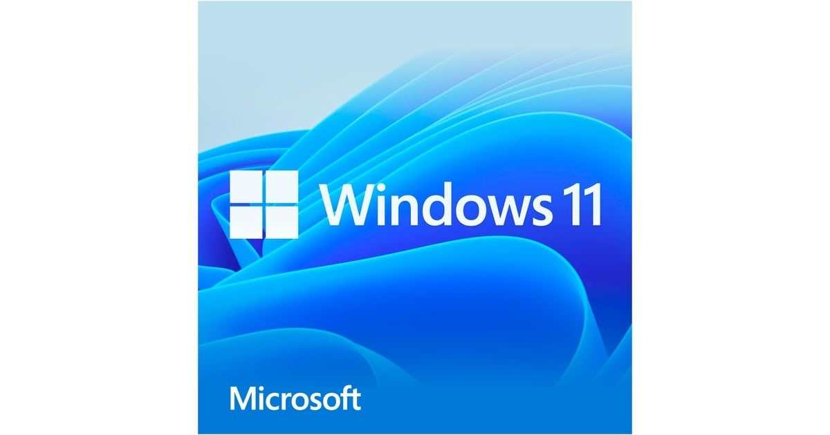 Microsoft Windows 11 Home 1 licencia(s), Software 1 licencia(s), 64 GB, 4096 GB, 1000 GHz ...