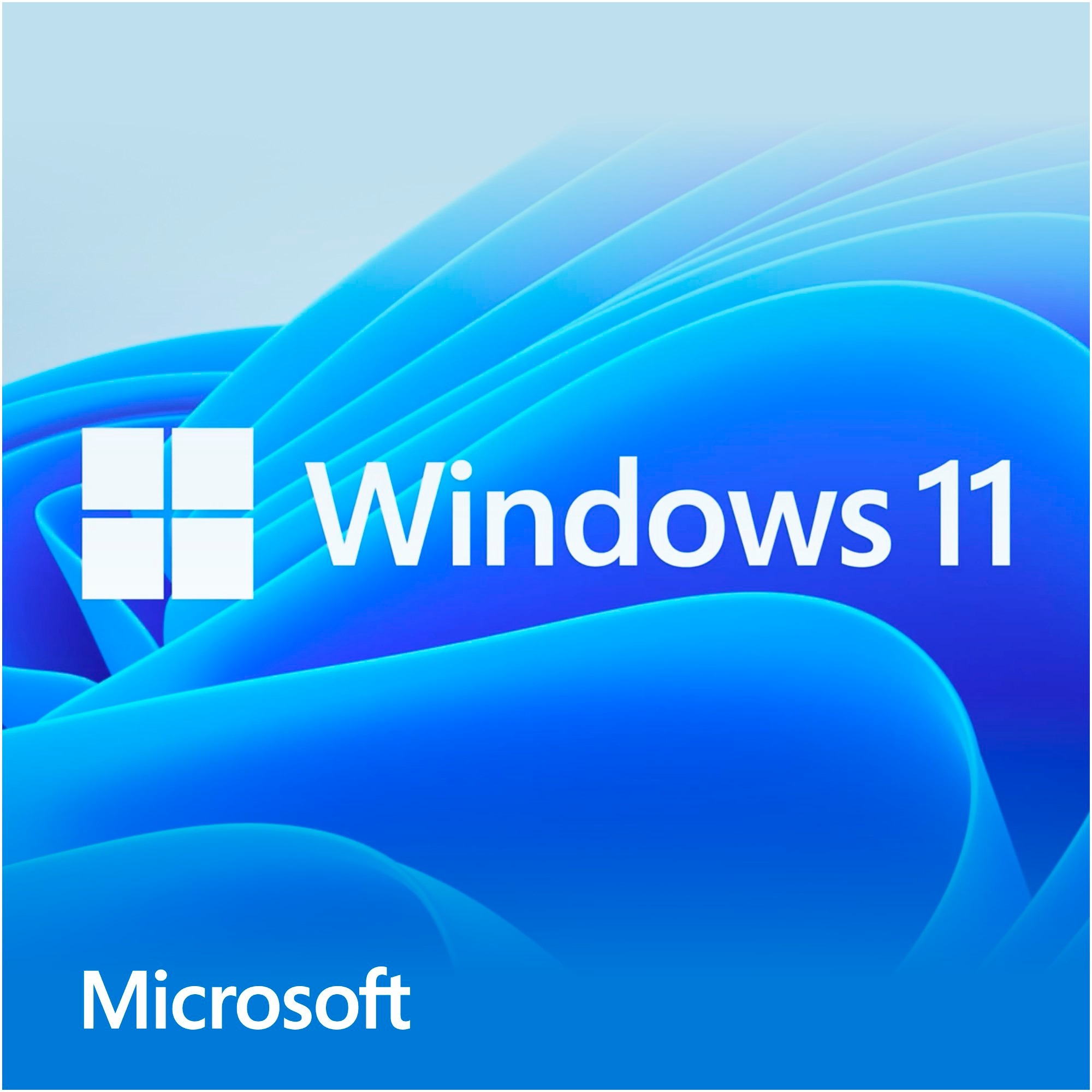 Microsoft Windows 11 Home 1 licencia(s), Software 1 licencia(s), 64 GB ...
